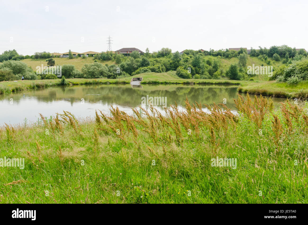 The Buckpool and Fens Pools at Barrow Hill Nature Reserve in Dudley ...