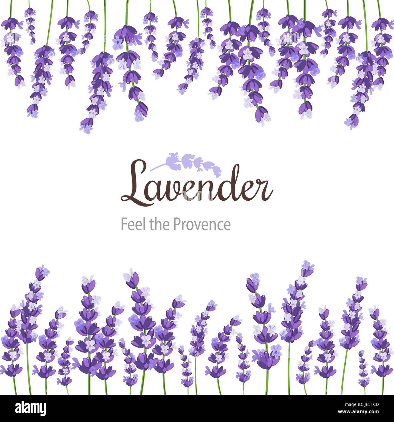 Lavender Card with flowers. Vintage Label with provence violet lavender ...