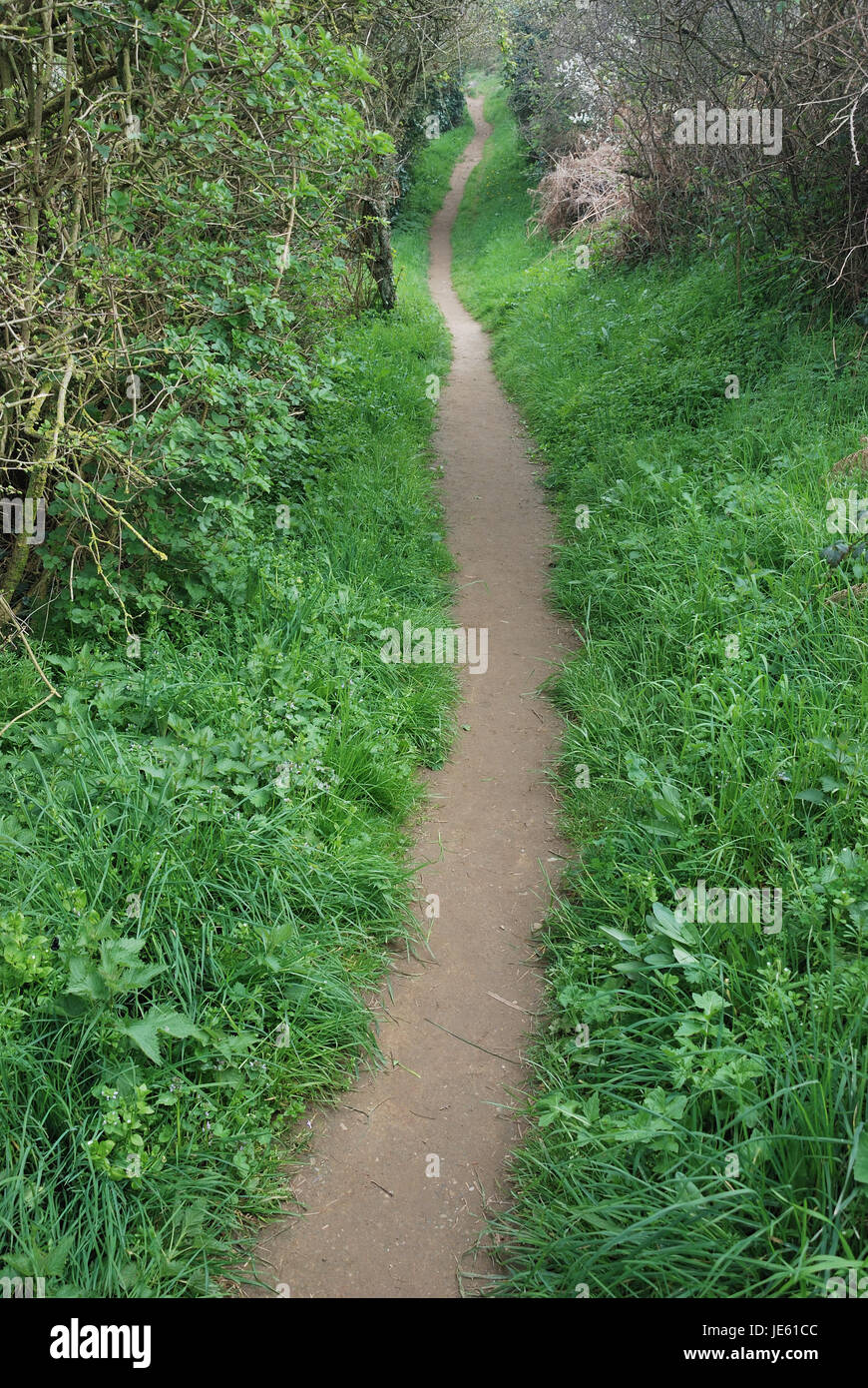 Path in spring Stock Photo - Alamy