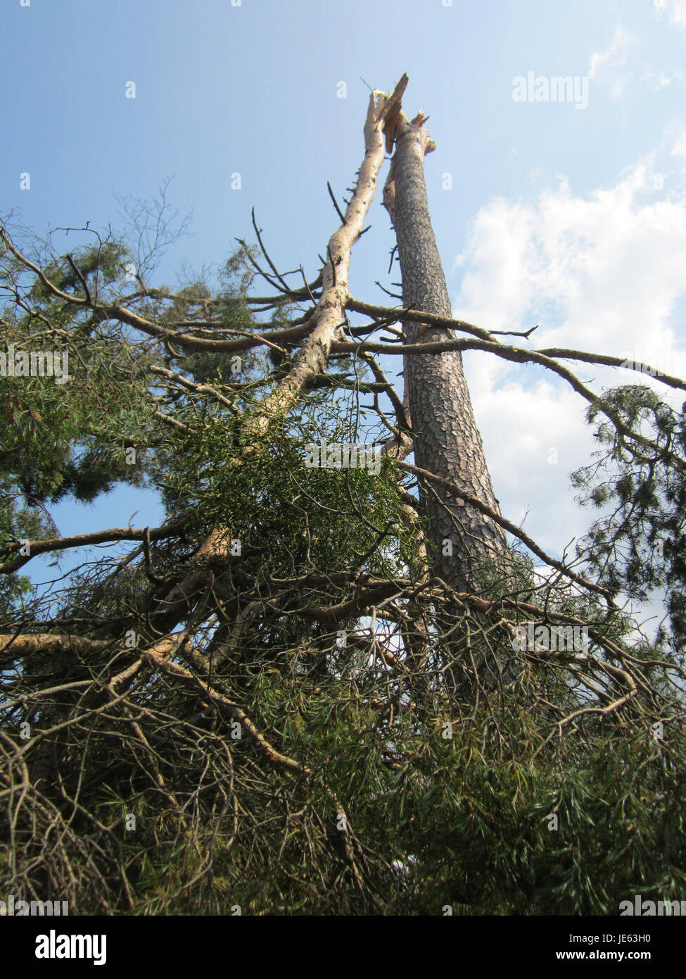 An image from July 13, 2013, showing the aftermath of a windstorm in ...