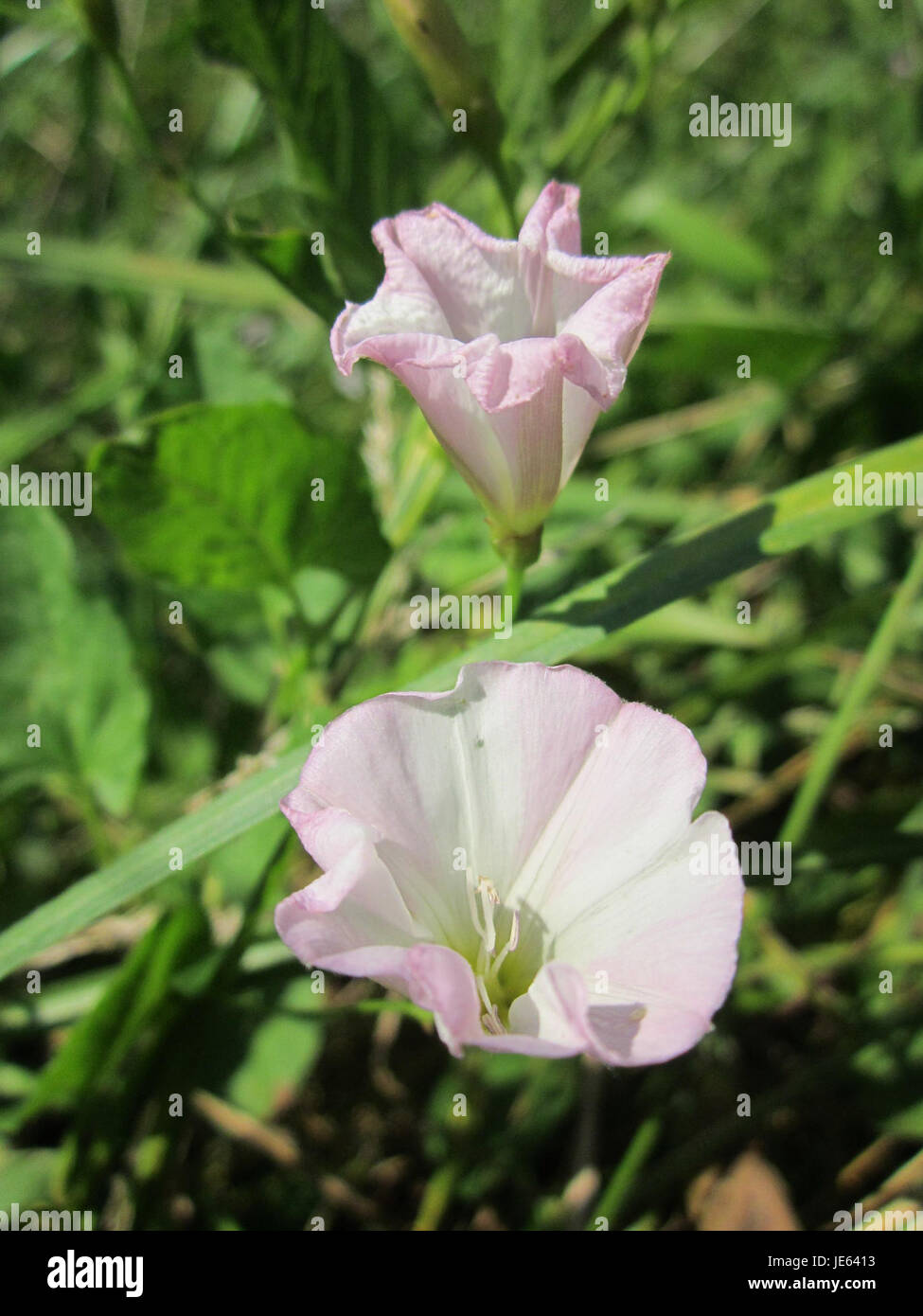 Photograph from saarbrücken in hi-res stock photography and images - Alamy