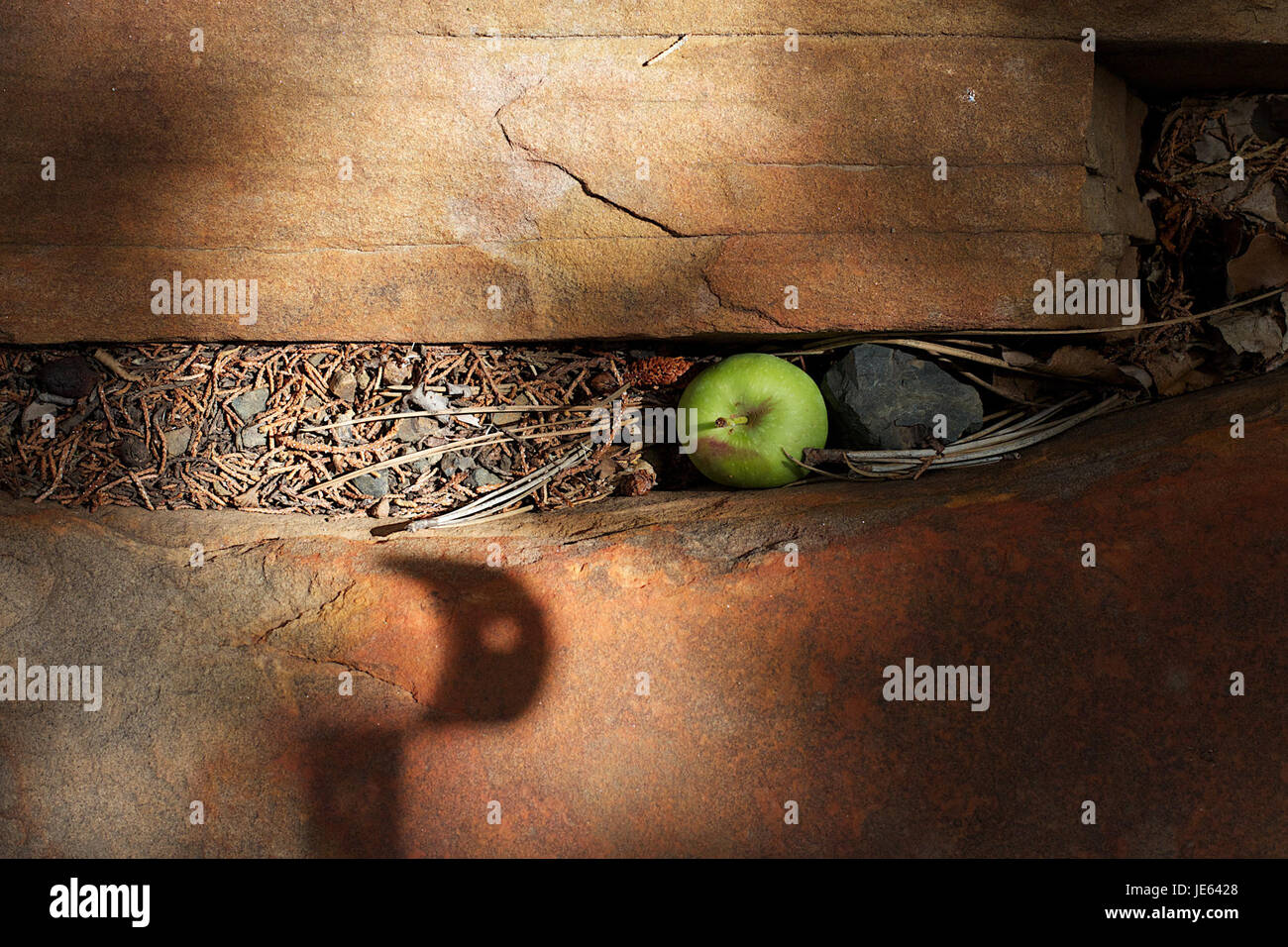 Transitional zones hi-res stock photography and images - Alamy