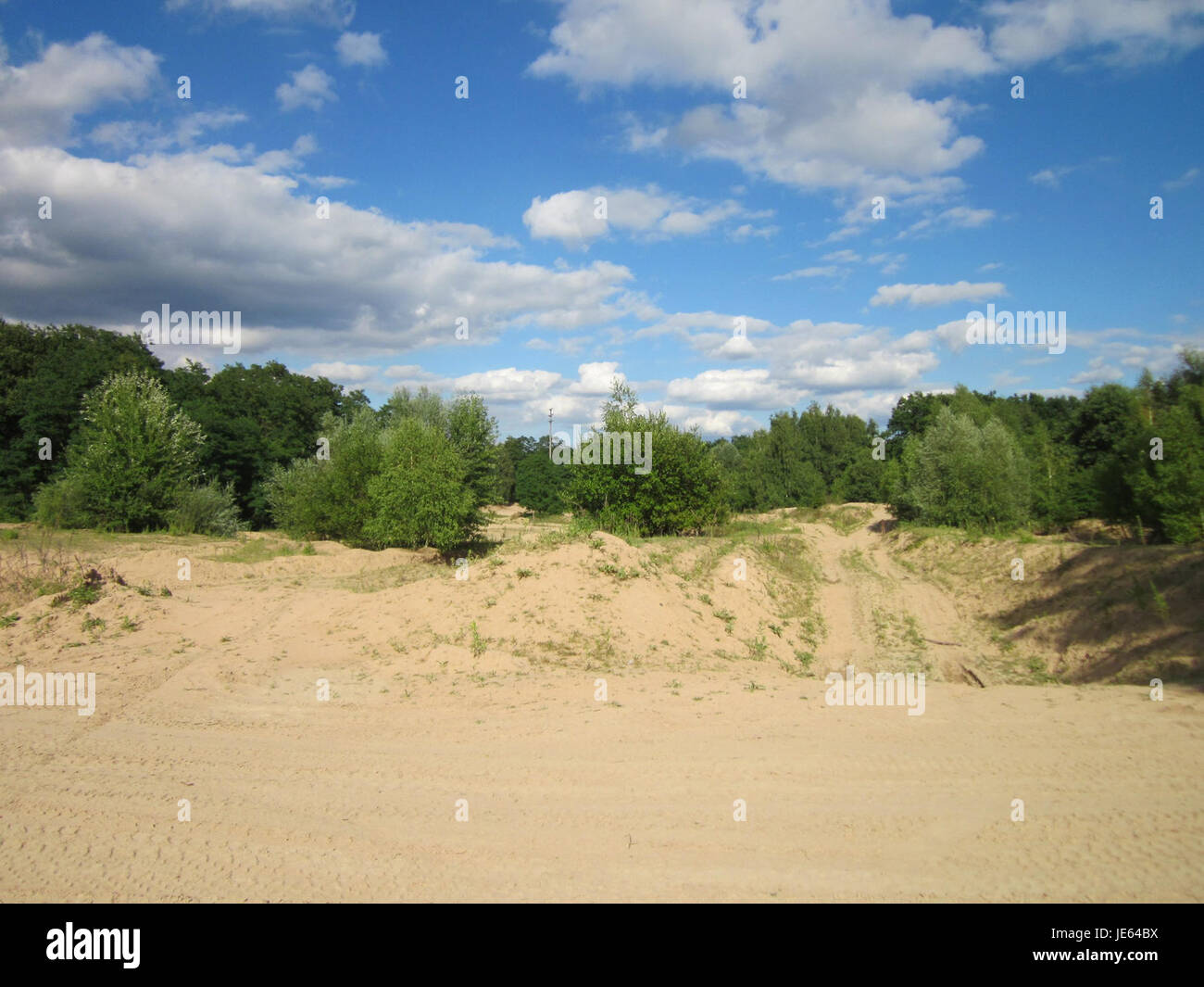 This photograph shows the dune landscape of the Speyrer Wald, located ...