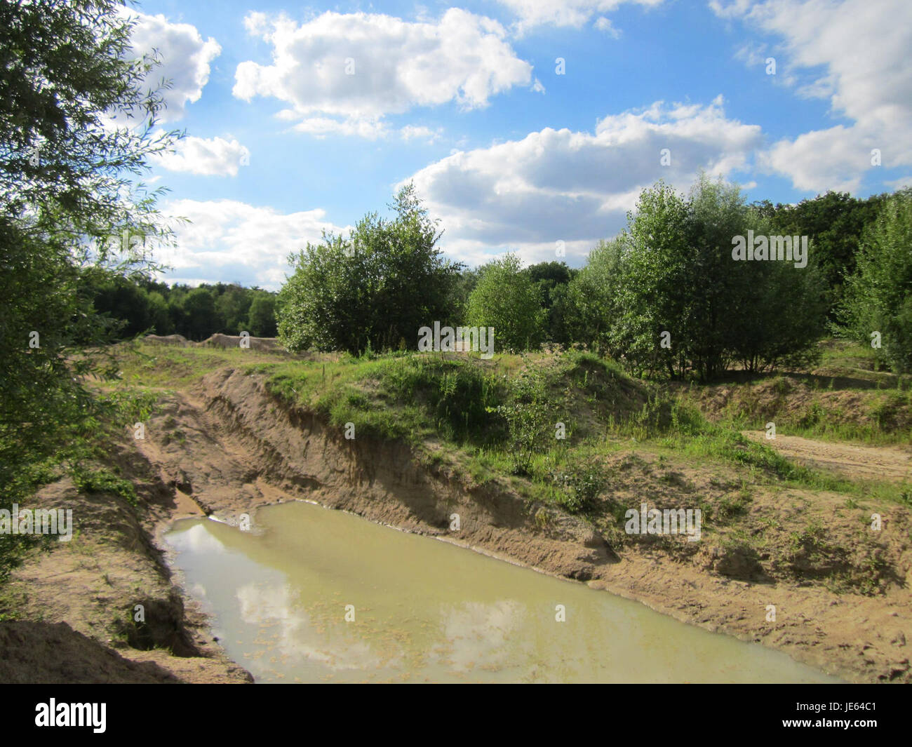 The image shows a dune in the Speyrer Wald, a forest region in Germany ...