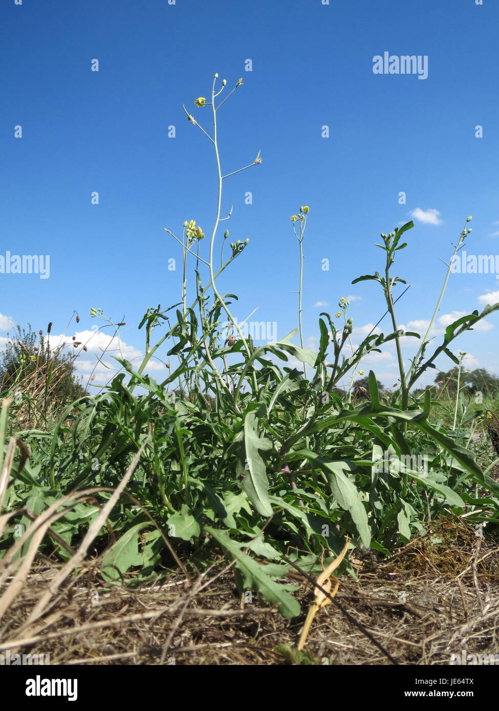 Living in a variety of climates hi-res stock photography and images - Alamy