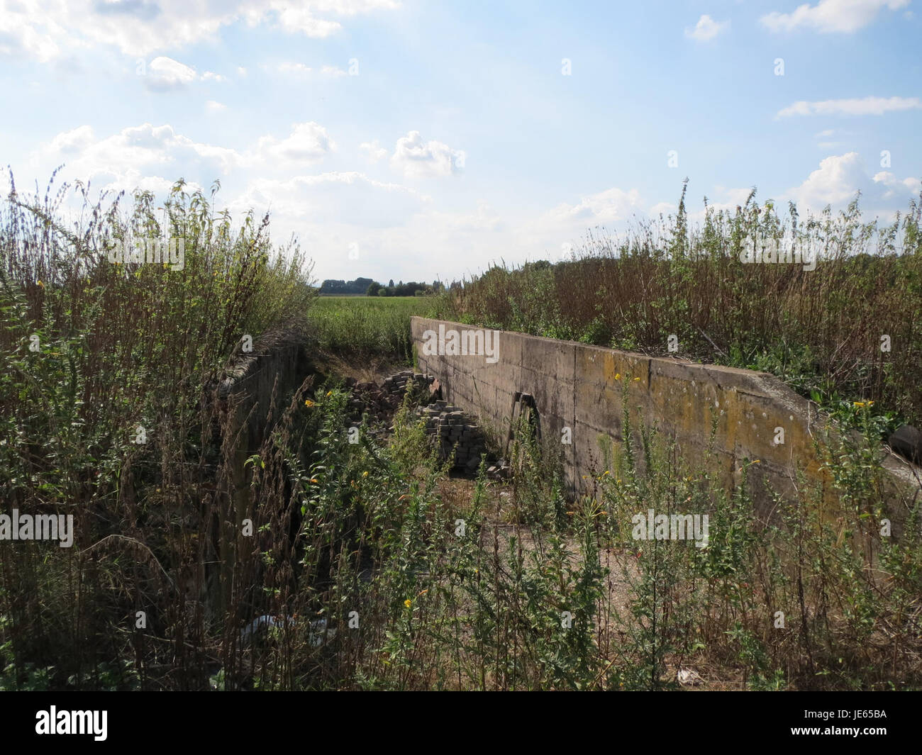 A photograph from August 20, 2013, showing a street scene in Reilingen ...