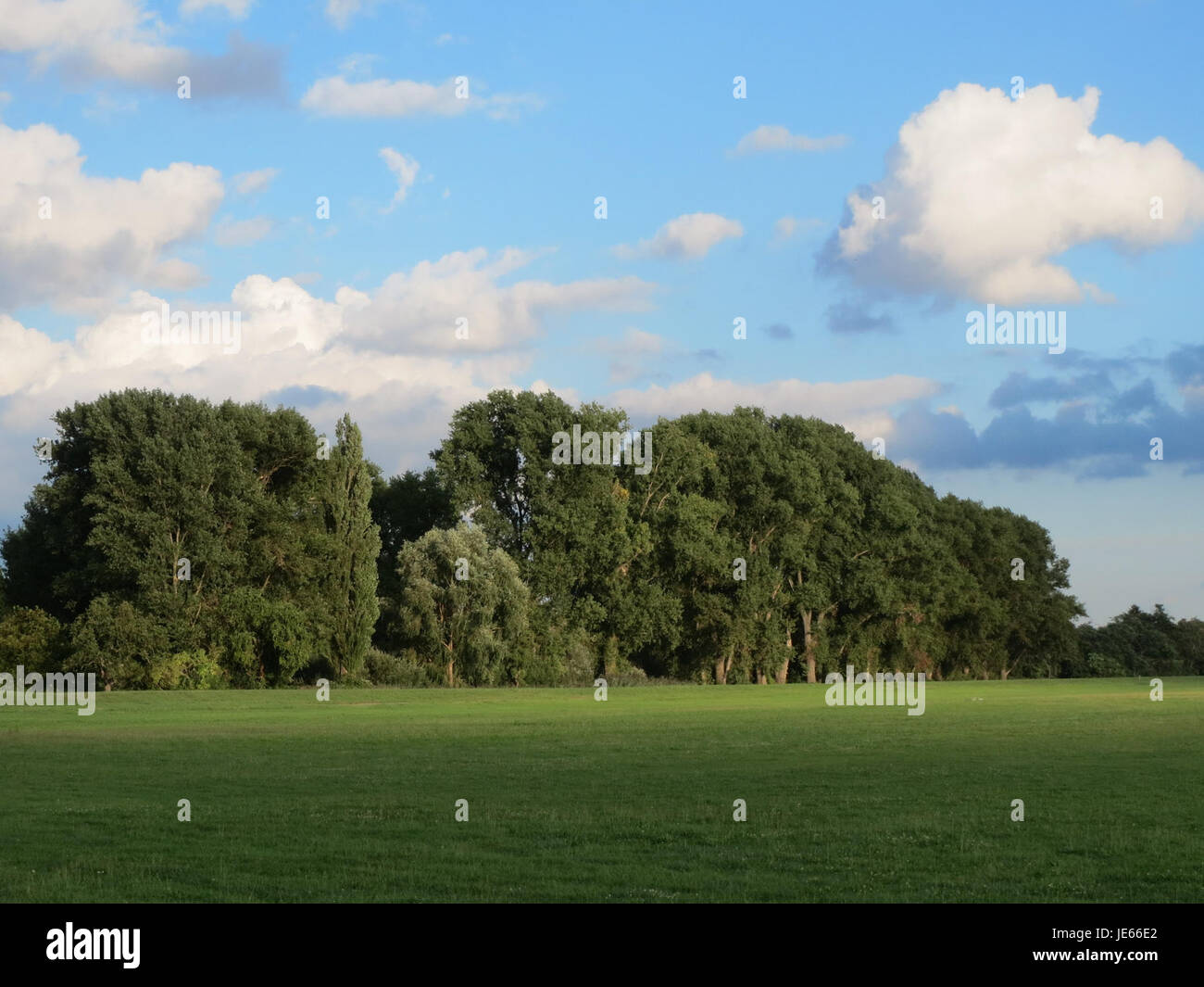 Speyer, a city in southwestern Germany, is known for its historical ...
