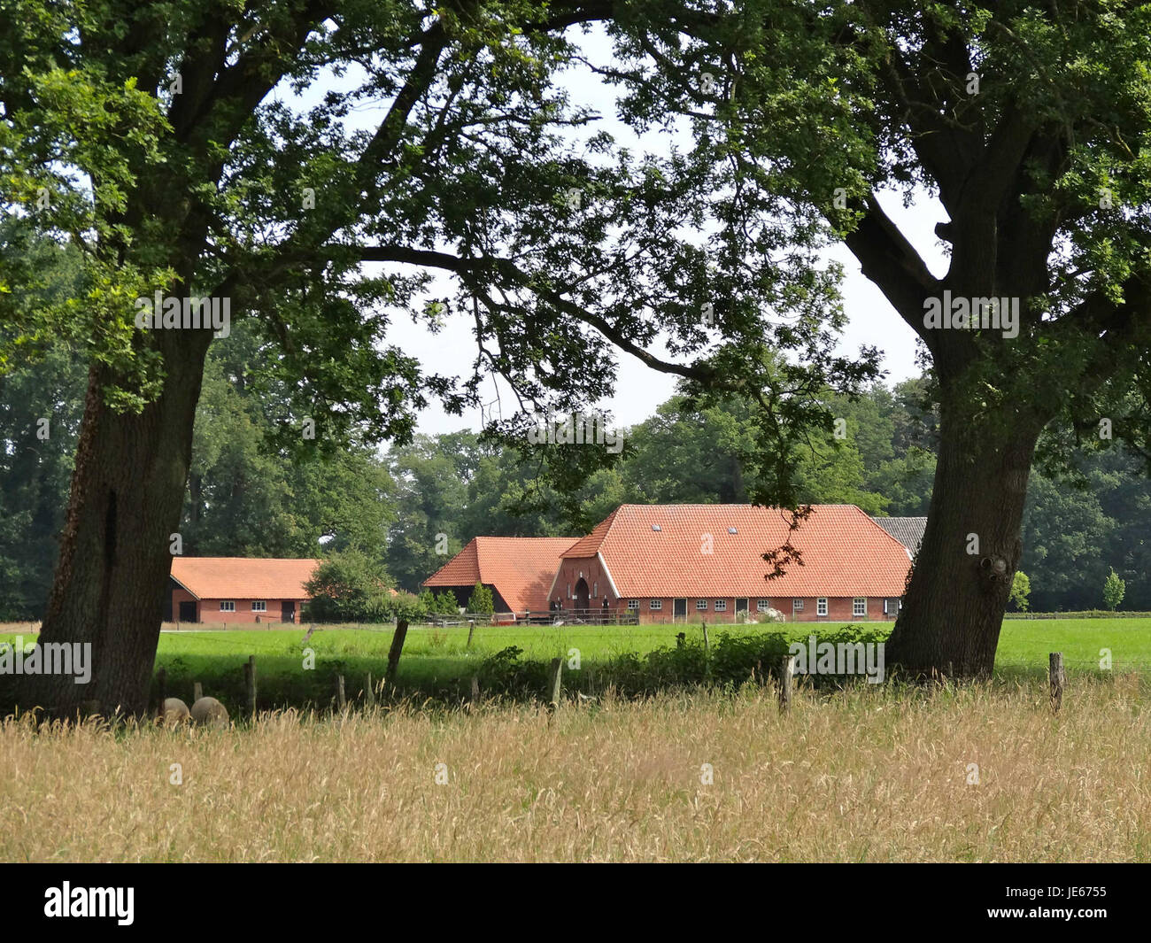 A photograph taken on July 16, 2013, showing a traditional Dutch ...