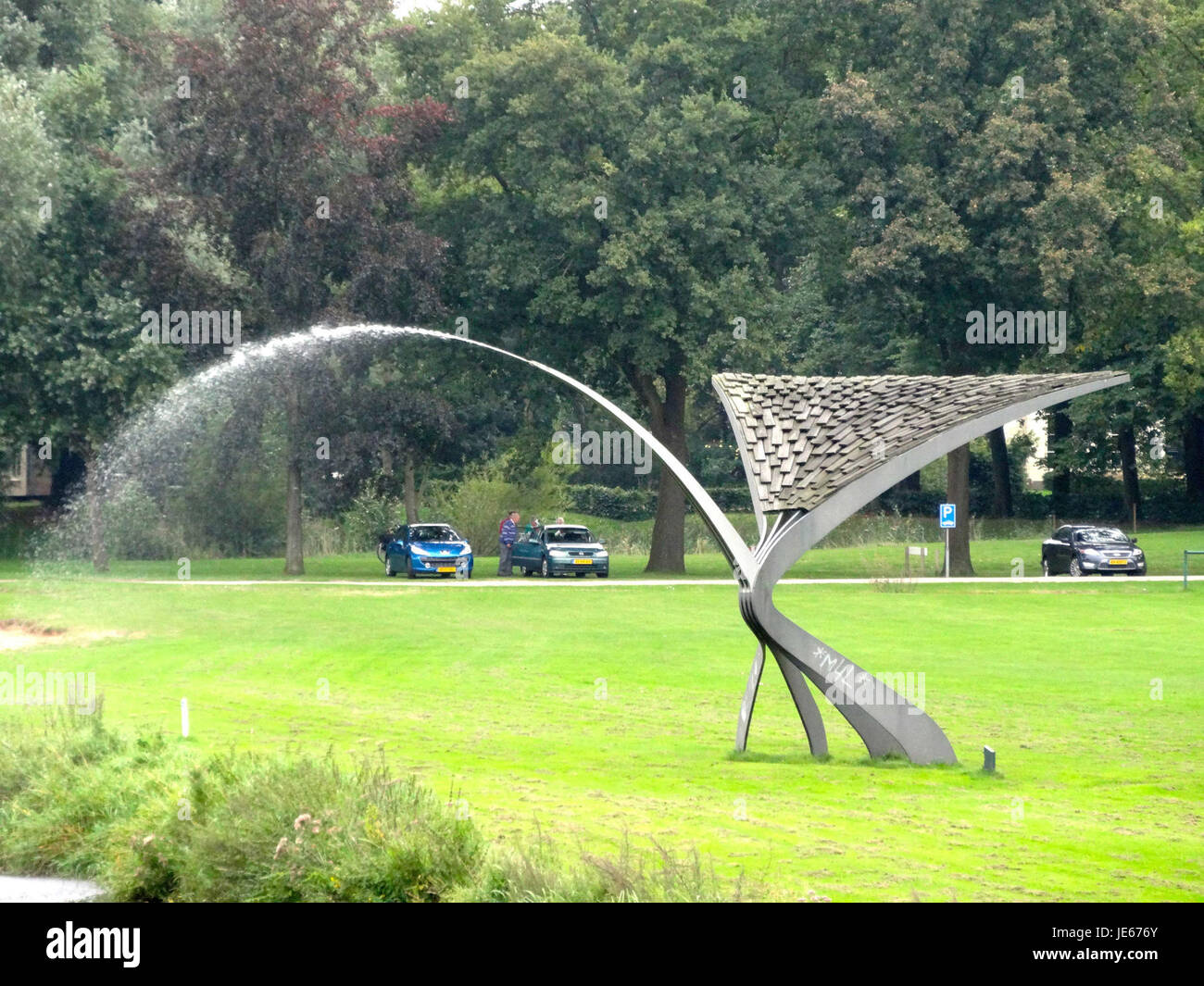 A photograph taken by Rene van Zuuk of the De Wulp bird in Ommen ...