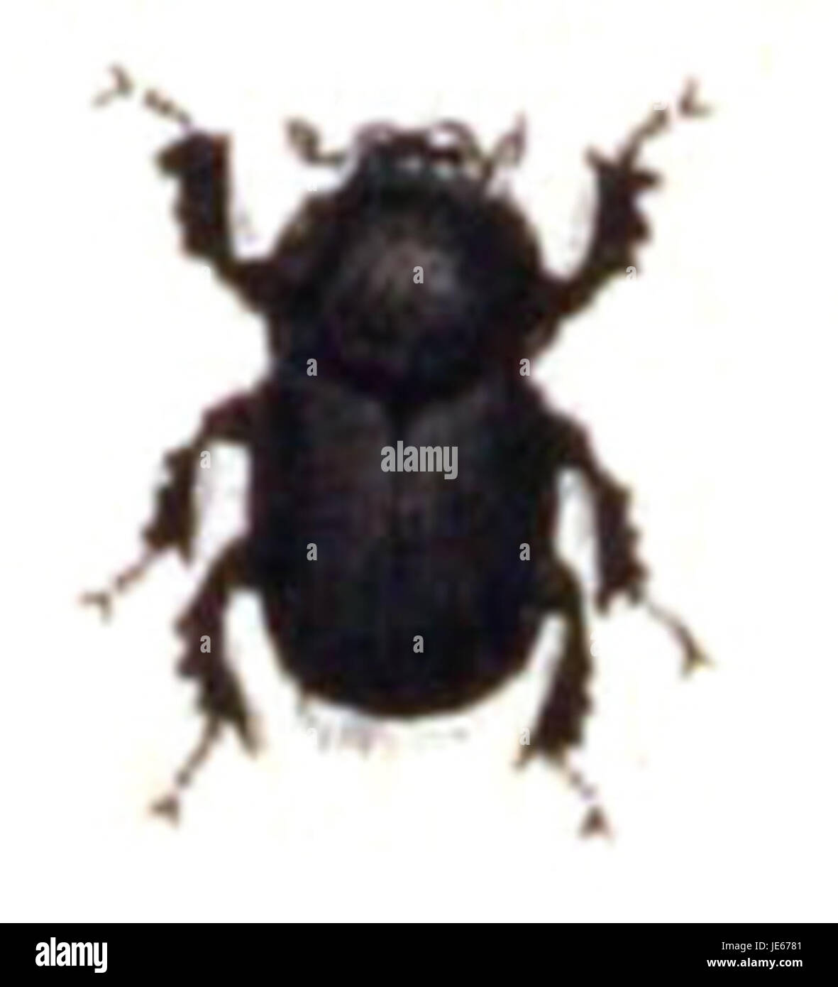 Ater Cut Out Stock Images & Pictures - Alamy