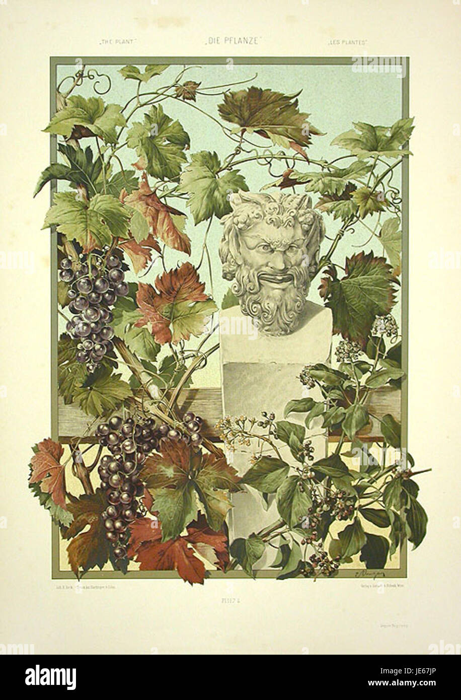 Anton Seder's 'Bacchus Vines' features Bacchus, the Roman god of wine ...