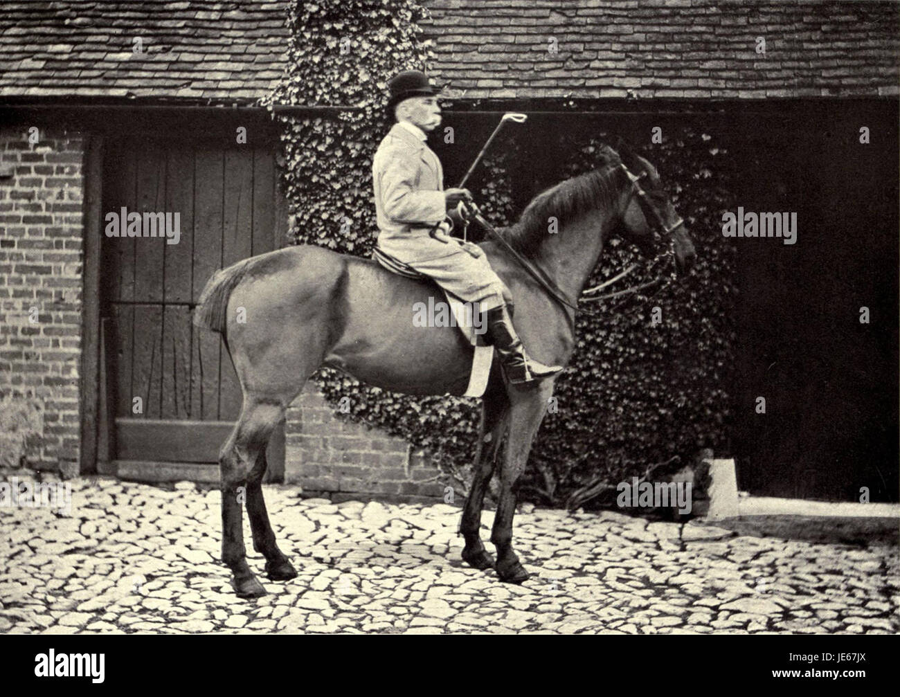 Alfred Austin's commentary on Paddy explores themes related to the ...