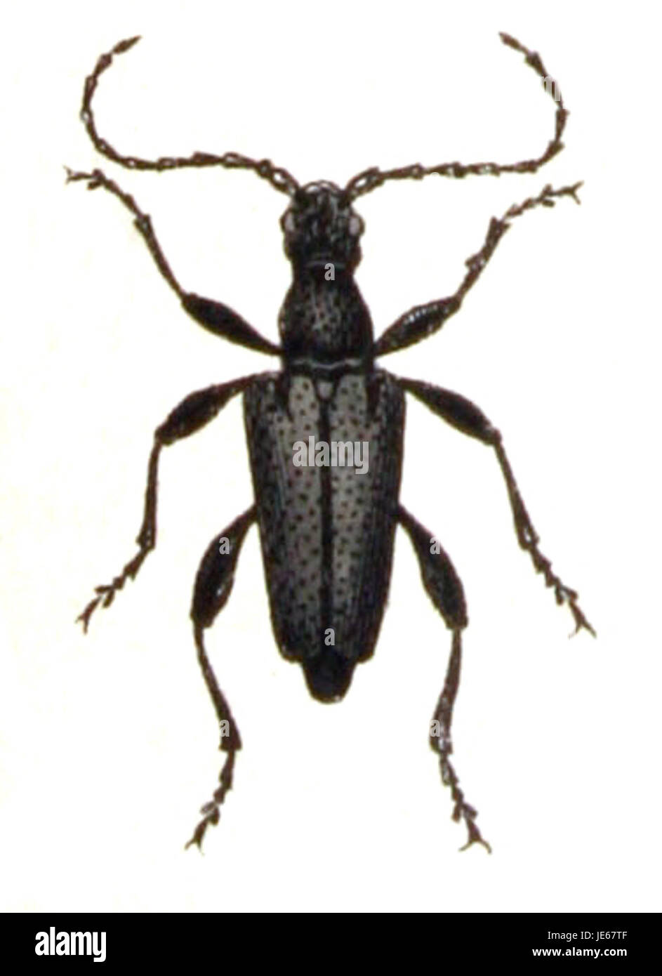 A 41 Cut Out Stock Images & Pictures - Alamy