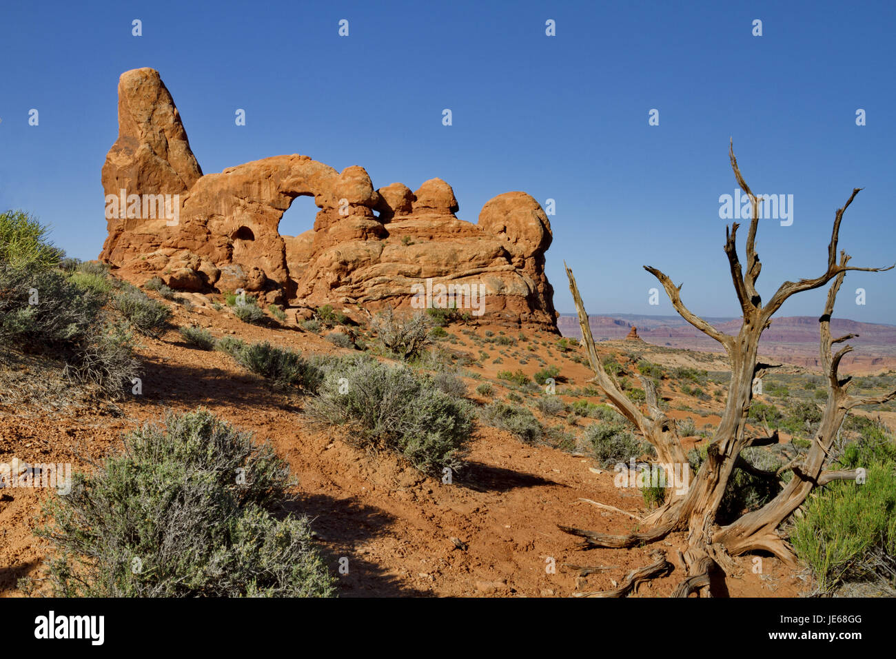 Natural power reflected in primitive desert landscape of red sand ...