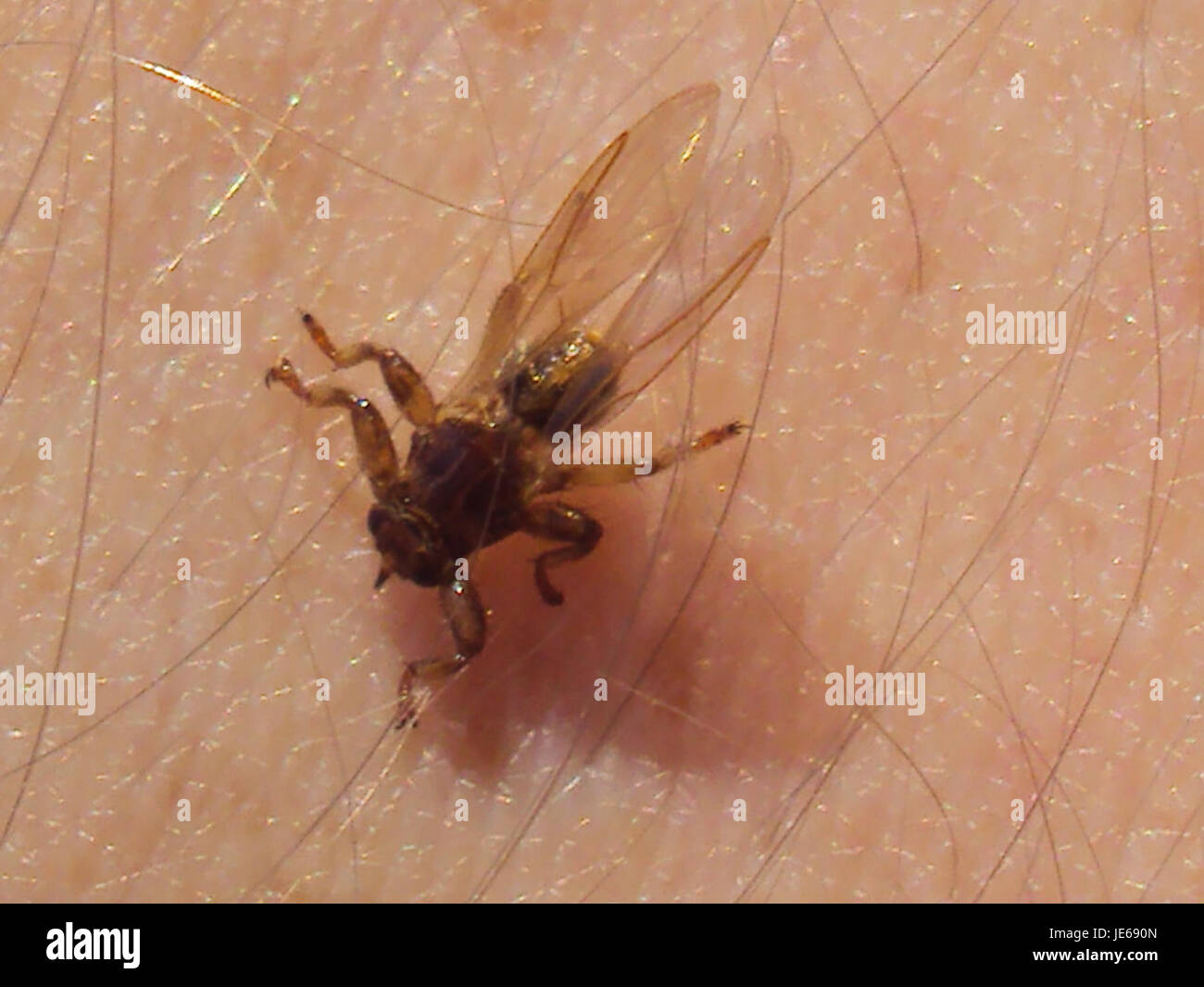 Pkl hi-res stock photography and images - Alamy