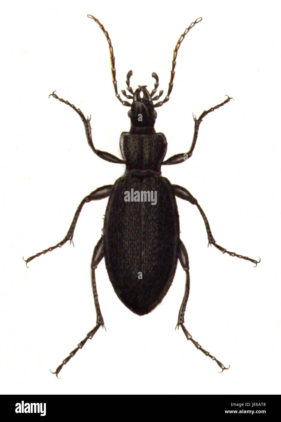 Specific classification number Cut Out Stock Images & Pictures - Alamy