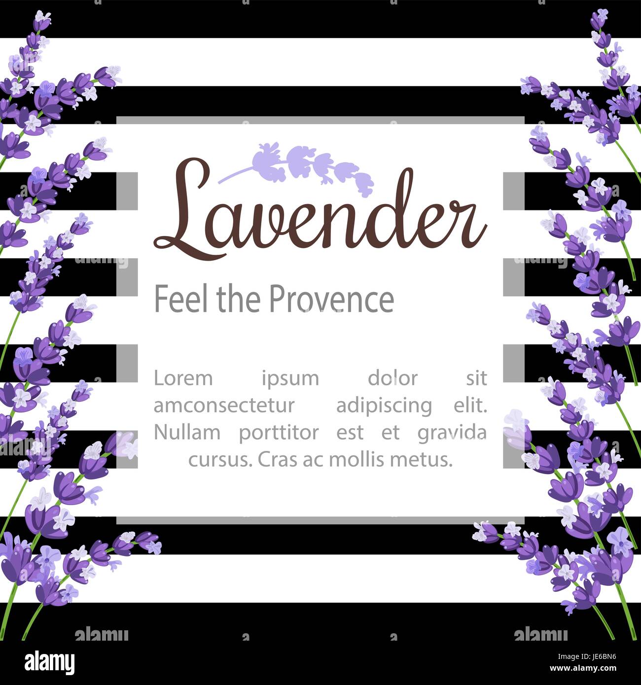 Lavender Card with flowers. Vintage Label with provence violet lavender ...