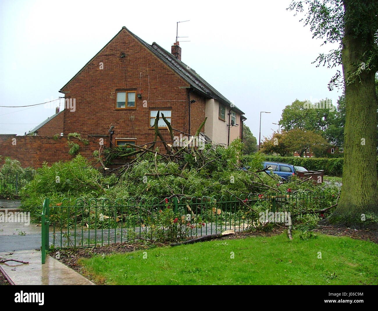Hurricane uk wind trees hi-res stock photography and images - Alamy