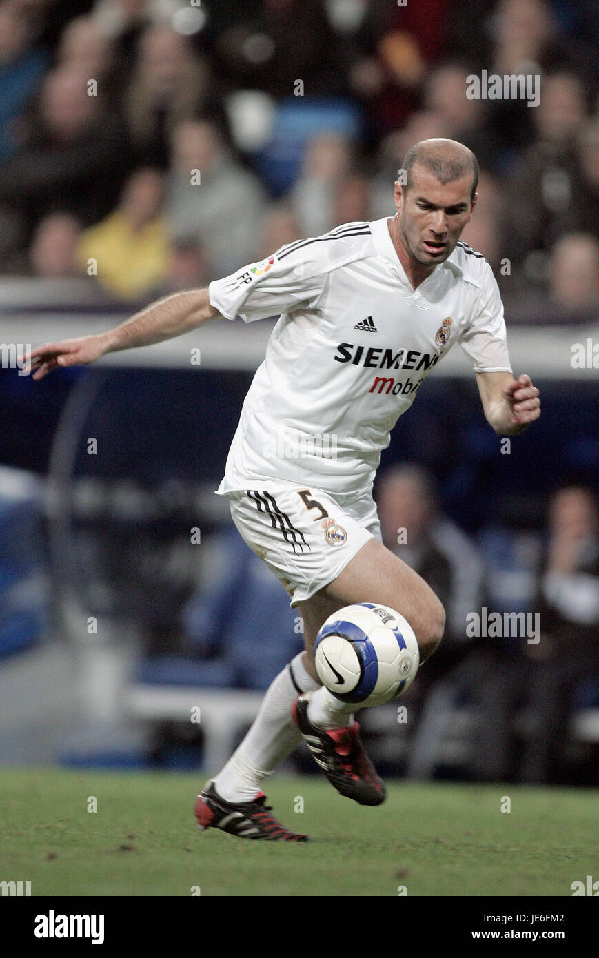 ZINEDINE ZIDANE REAL MADRID CF SANTIAGO BERNABEU MADRID SPAIN 19 ...