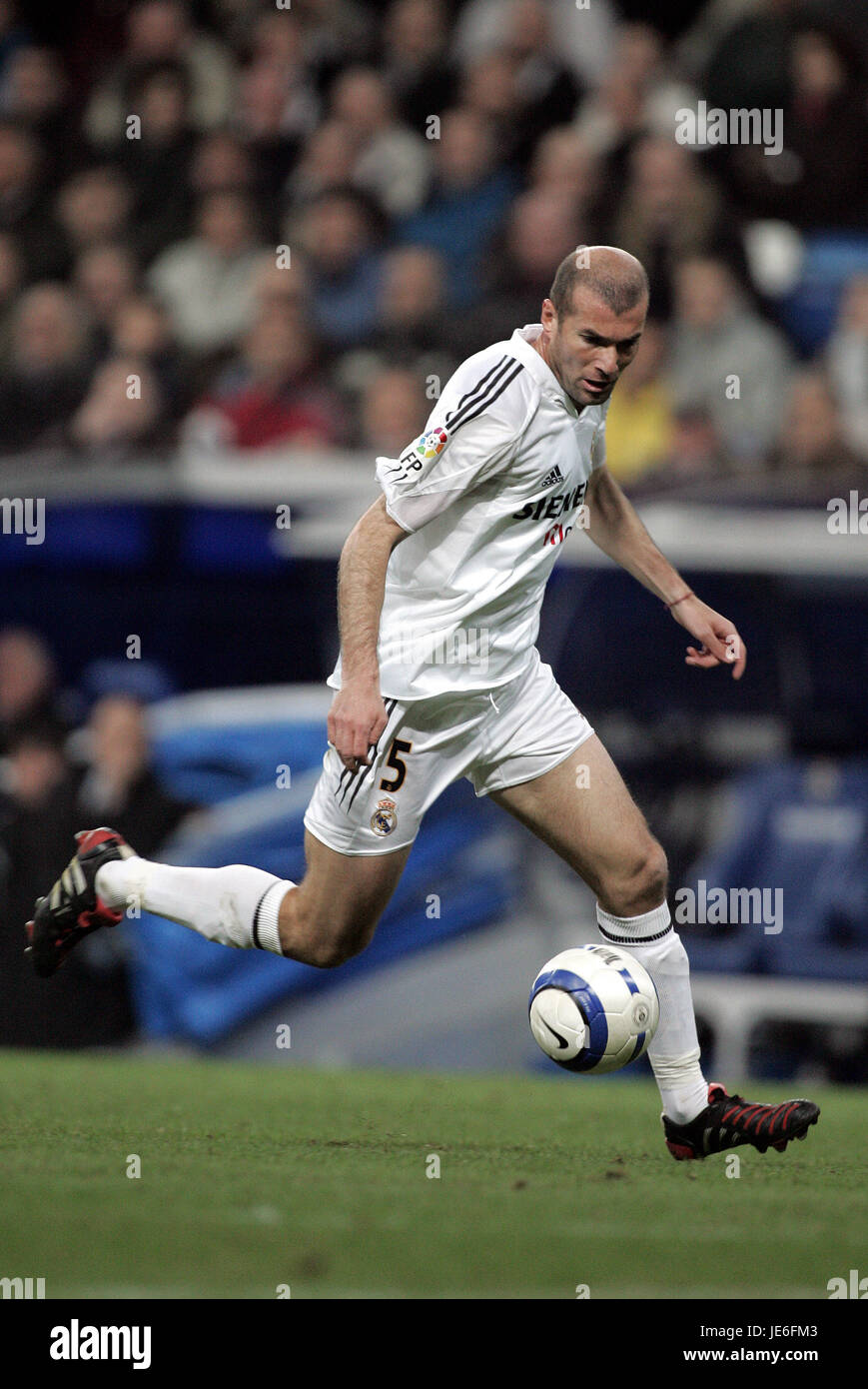 ZINEDINE ZIDANE REAL MADRID CF SANTIAGO BERNABEU MADRID SPAIN 19 ...