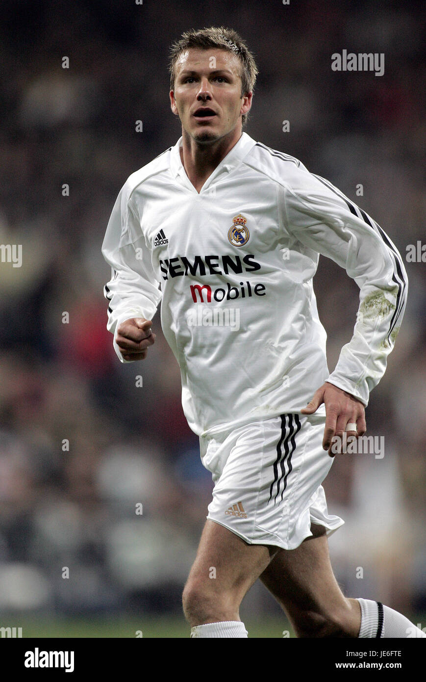 DAVID BECKHAM REAL MADRID CF SANTIAGO BERNABEU MADRID SPAIN 19 February ...