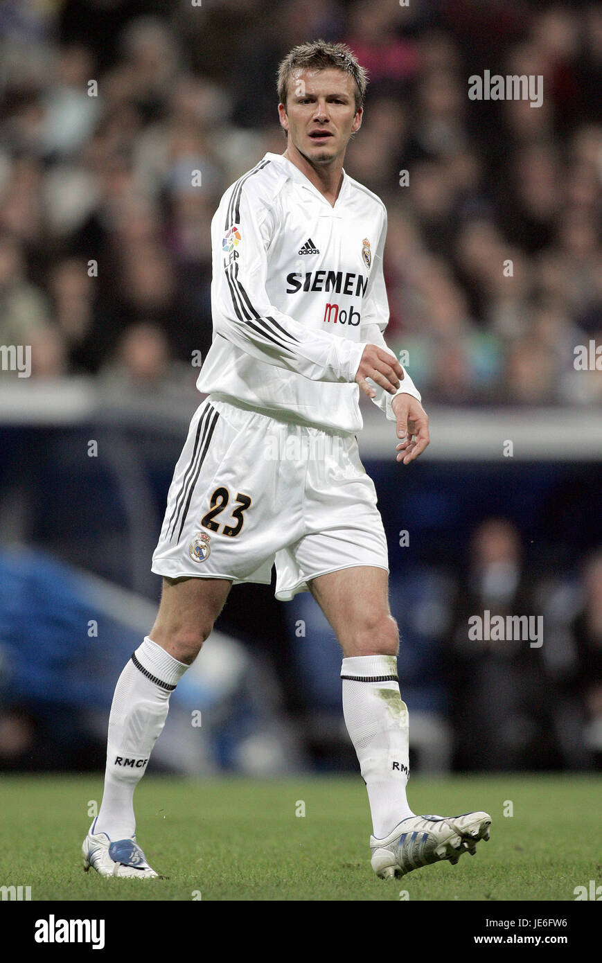 DAVID BECKHAM REAL MADRID CF SANTIAGO BERNABEU MADRID SPAIN 19 February ...