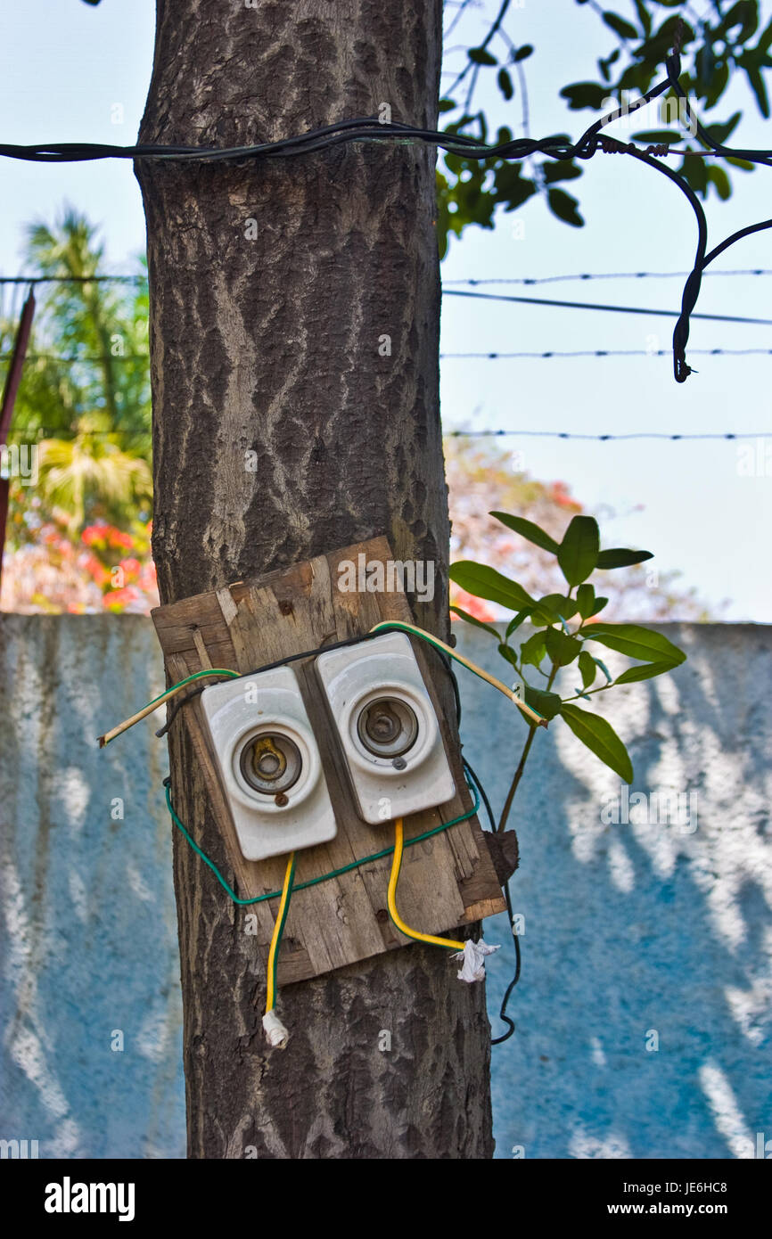 electronic circuit stuck in a tree Stock Photo - Alamy