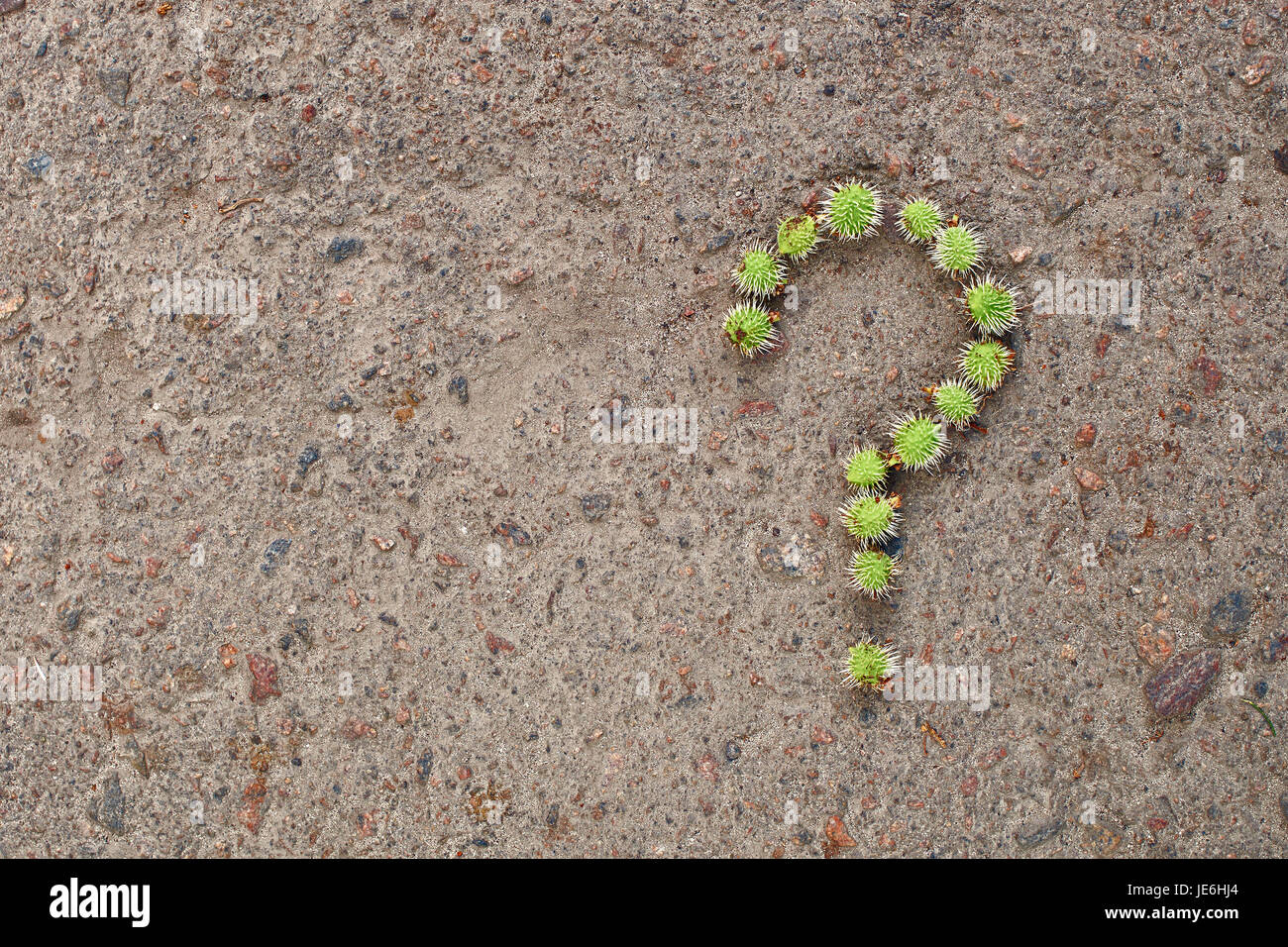 Composed expression hi-res stock photography and images - Alamy