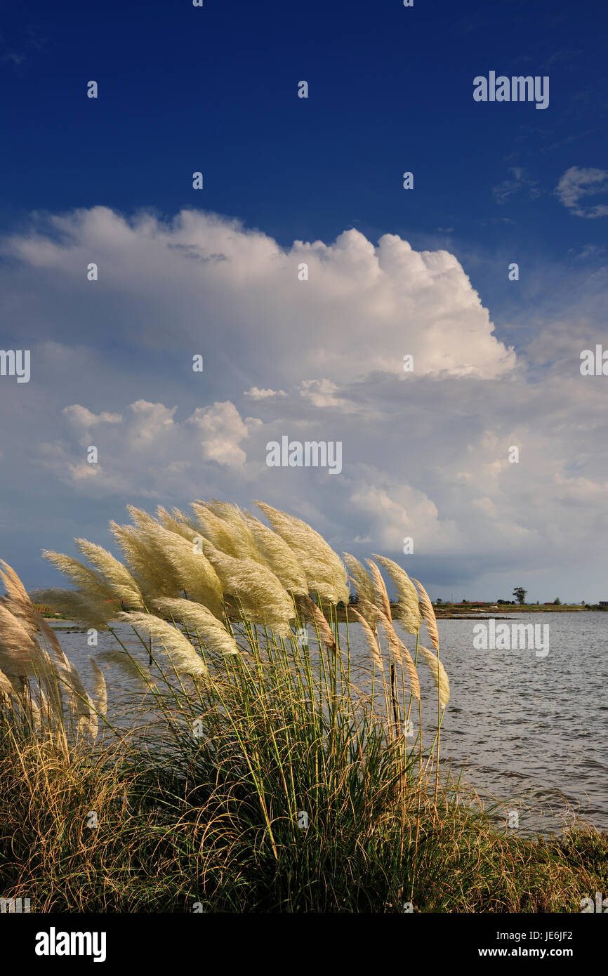 Bestida wharf hi-res stock photography and images - Alamy