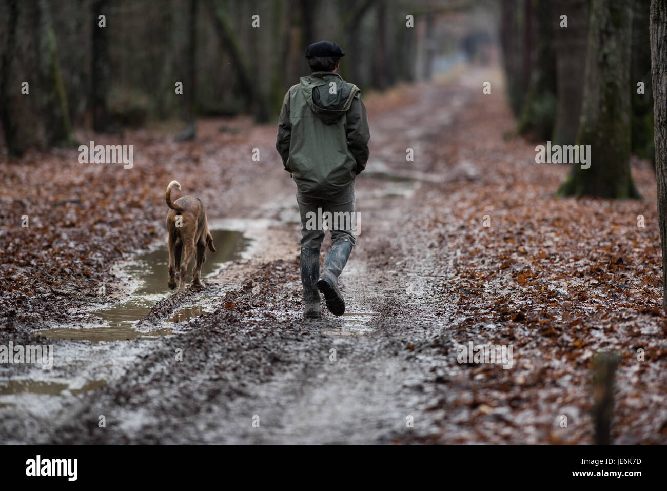 Chase woods hi-res stock photography and images - Alamy