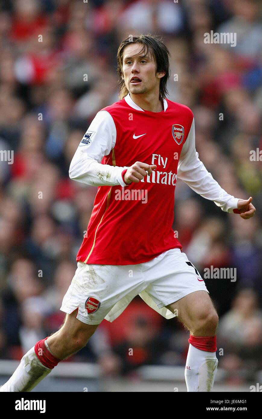 TOMAS ROSICKY ARSENAL FC EMIRATES STADIUM ARSENAL ENGLAND 02 December ...
