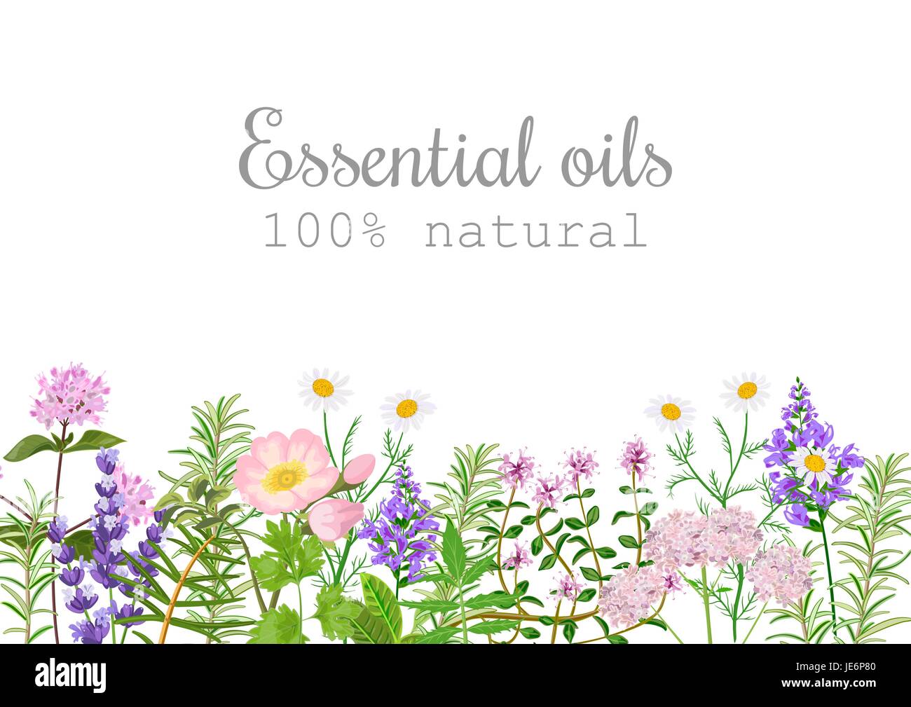 Circlebadge Stock Vector Images - Alamy