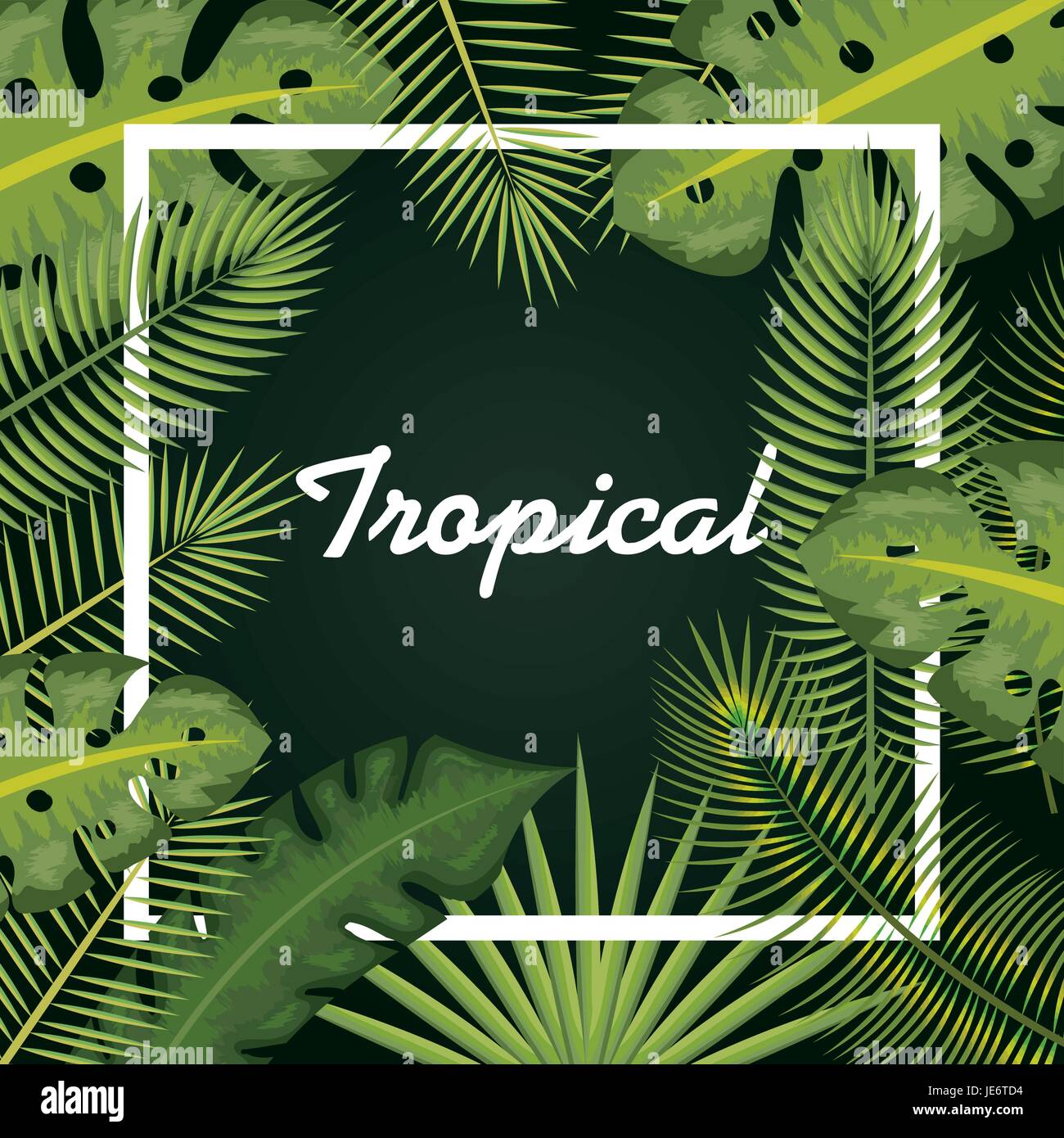 Tropical sign with white frame and tropical leaves vector illustration ...