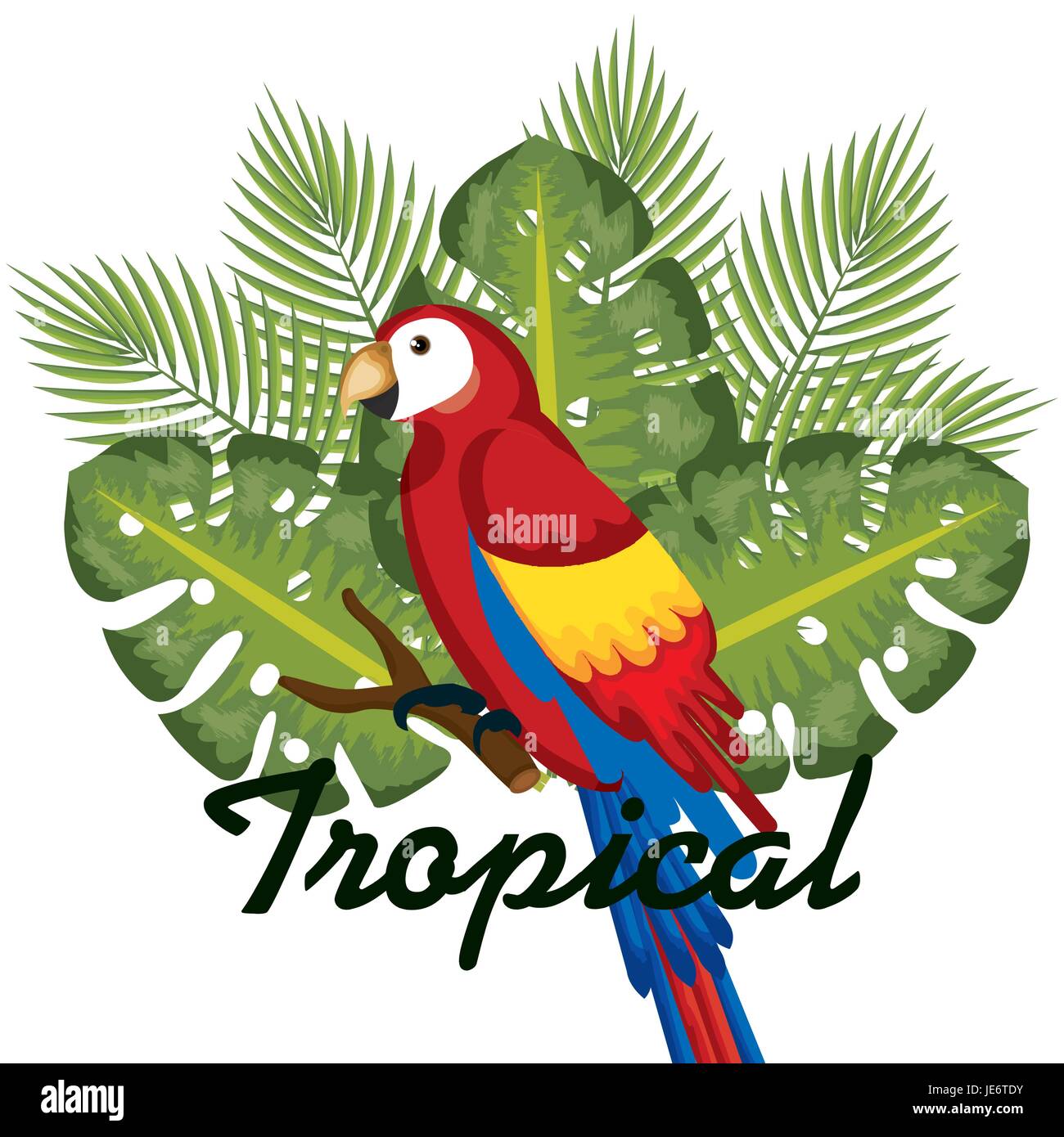 Guacamaya and tropical leaves over white background vector illustration ...