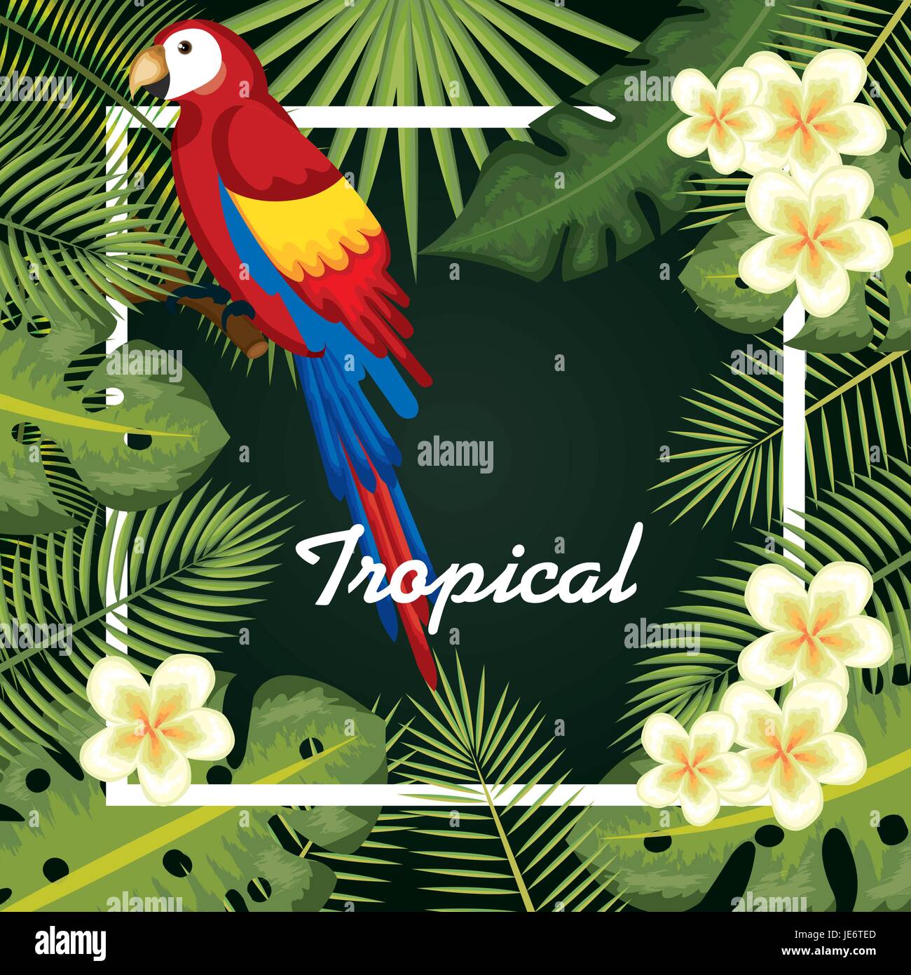 Guacamaya Stock Vector Images - Alamy