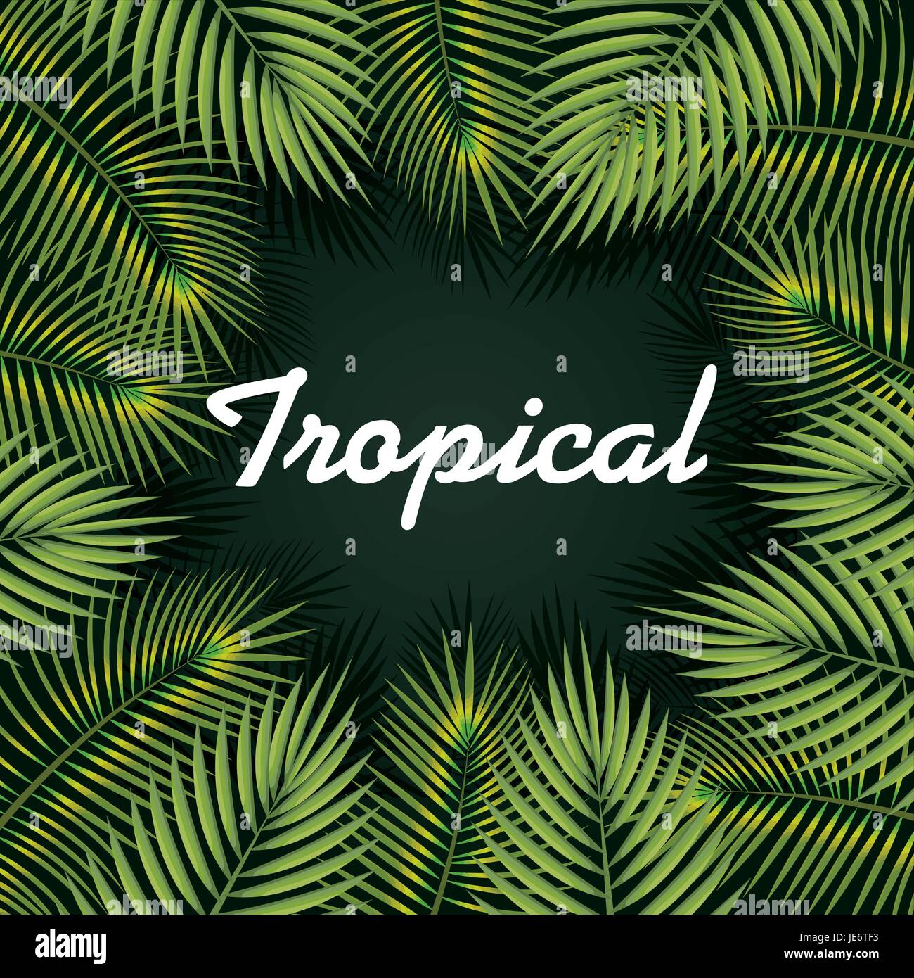 Tropical sign framed by tropical leaves over green background vector ...