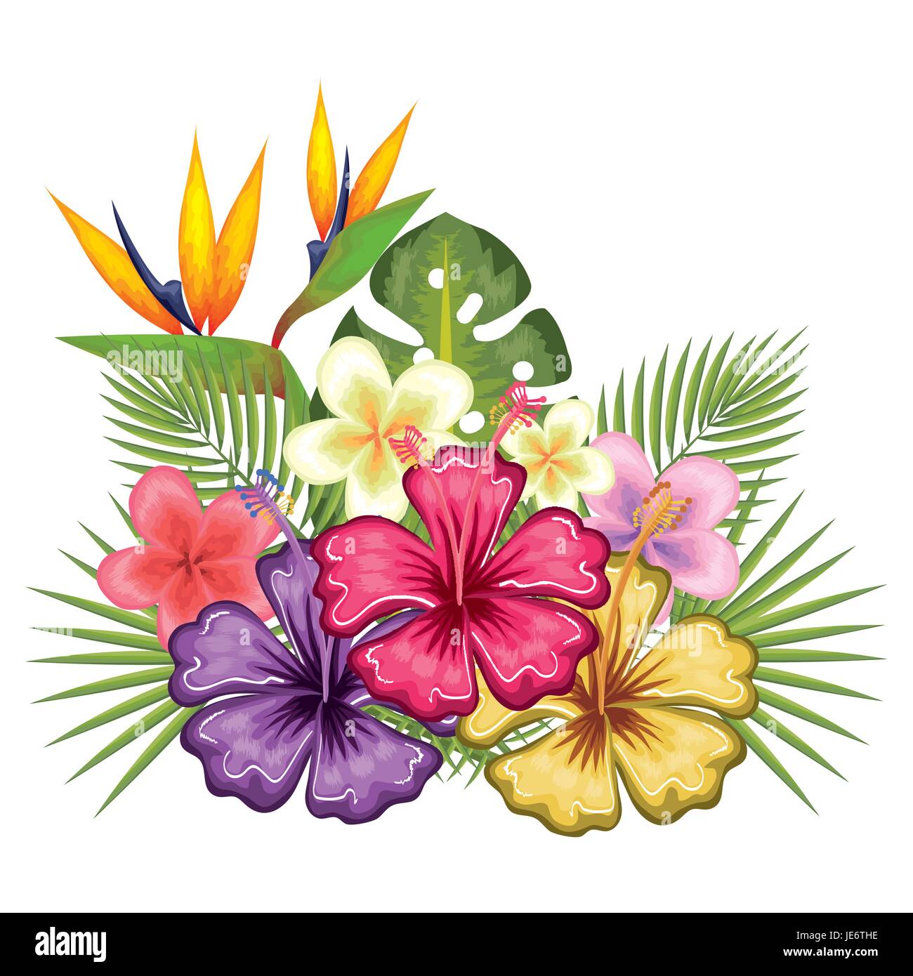 Colorful tropical flowers and leaves over white background vector ...