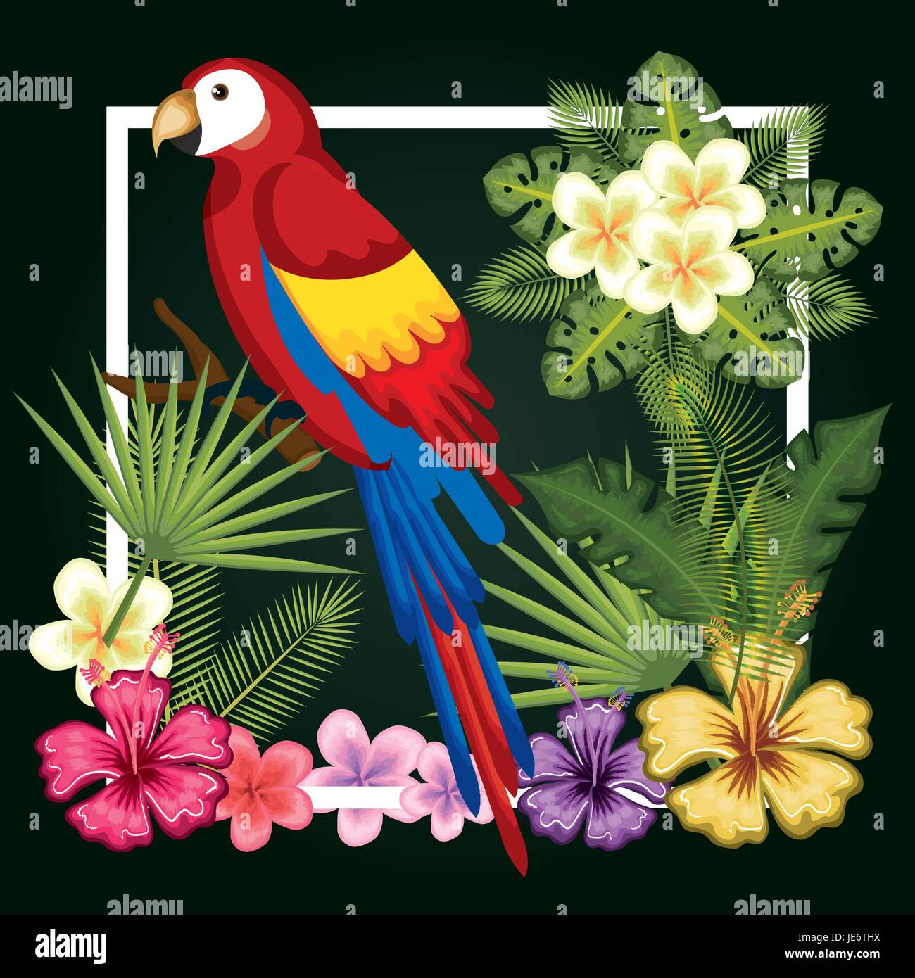 Guacamaya with tropical leaves and flowers over dark green background ...