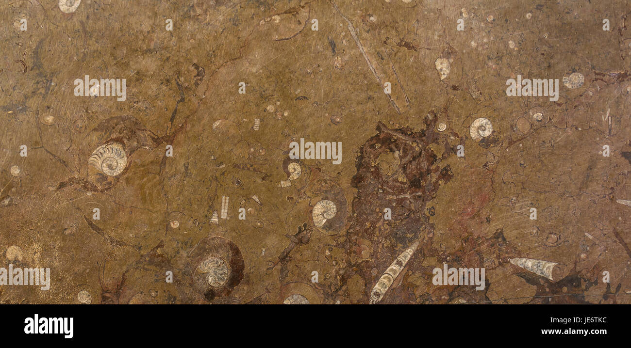 Close up marble step surface, The Scotsman Steps artwork by Scottish ...