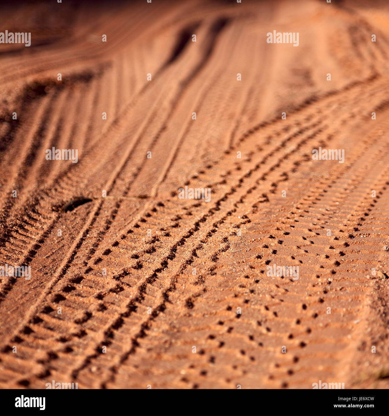 in the desert track of car and truck in the sand like abstract ...