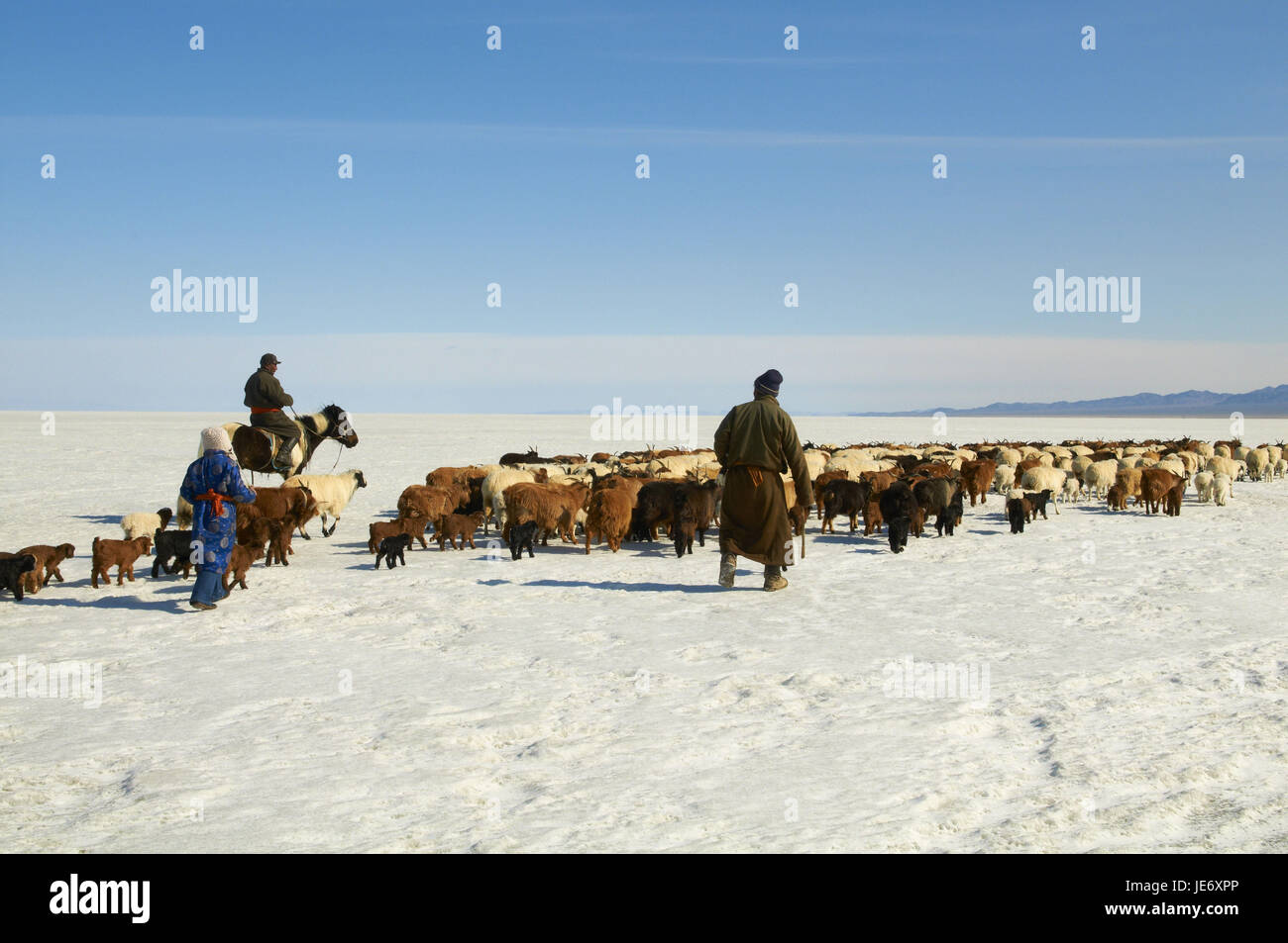 Mongolian Steppe Winter