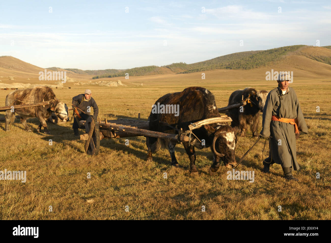 Arkhangai province, mongolia hi-res stock photography and images - Alamy