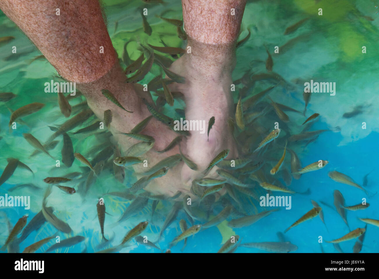 Cambodia fish hi-res stock photography and images - Alamy