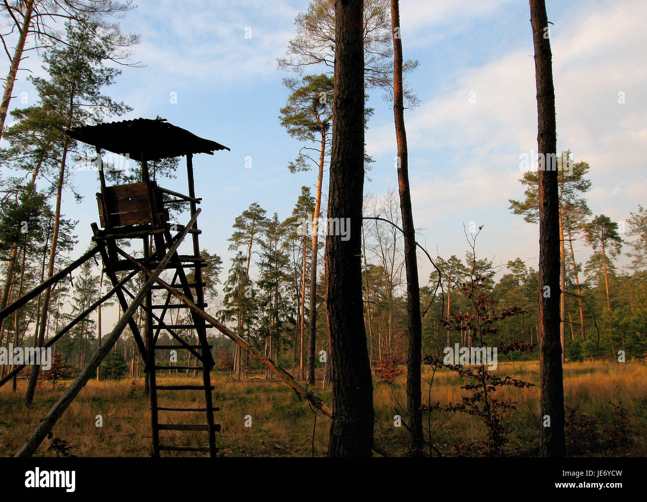 Hunters raised hide hi-res stock photography and images - Alamy