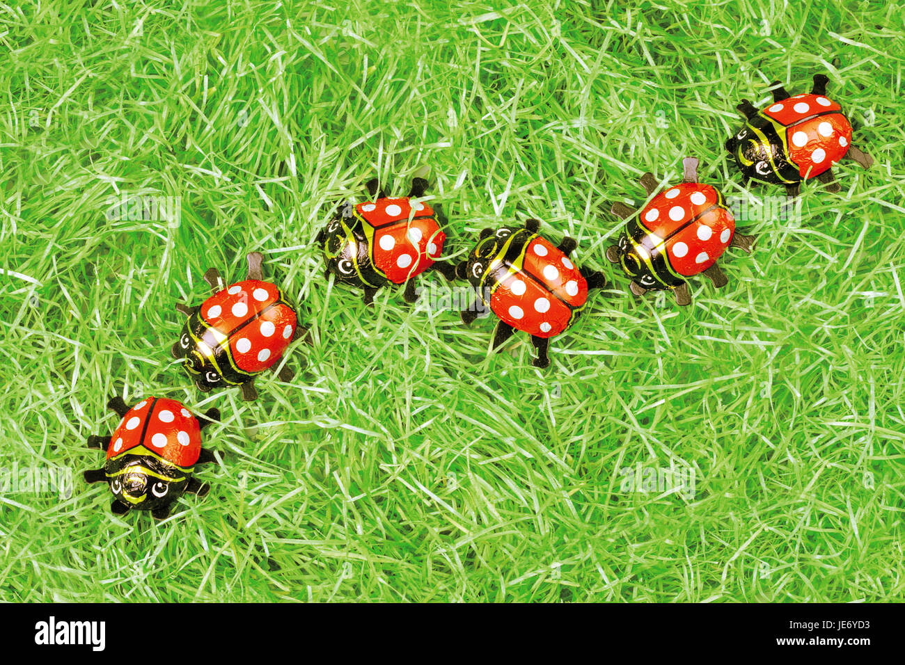 Ladybird of chocolate in a series in the grass Stock Photo - Alamy