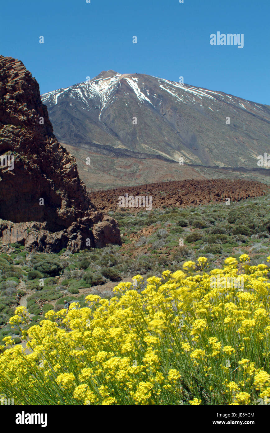 Hanging vegetation hi-res stock photography and images - Alamy