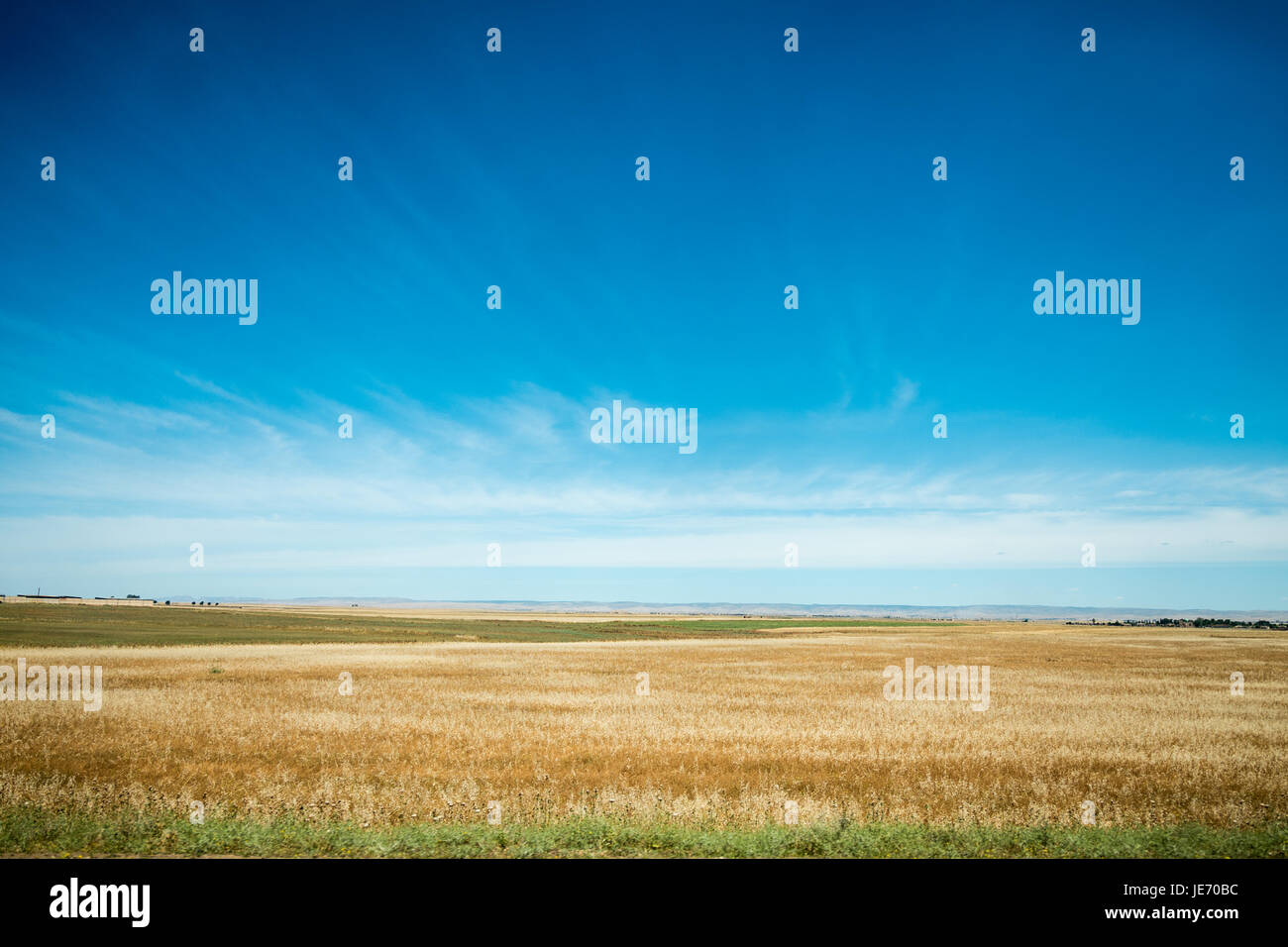 Wheat fields in rural Syria Stock Photo - Alamy