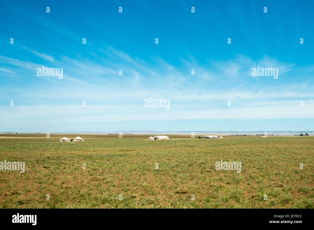 Wheat fields in rural Syria Stock Photo - Alamy