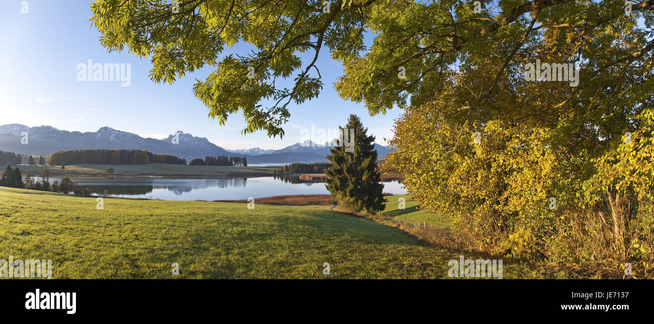 Autumn in the forggensee hi-res stock photography and images - Alamy
