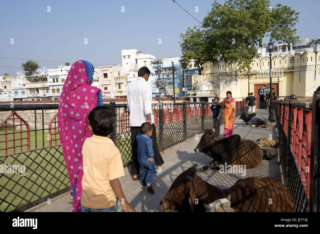 India, Rajasthan, Udaipur, tourist and cortexes on the Daiji bridge ...